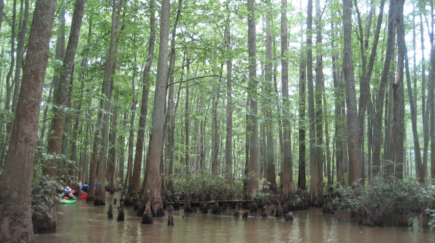 About Us | Wolf River Conservancy